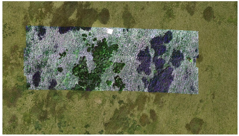 E-TRAINEE: Subpixel classification - report - E-TRAINEE Course at Heidelberg University (2025)