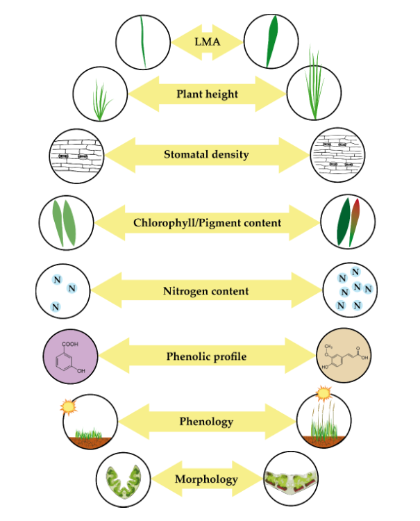 E-TRAINEE: Relating imaging spectroscopy and in-situ or laboratory ...