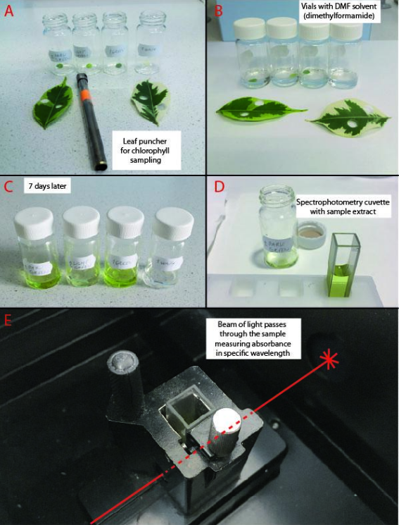 E-TRAINEE: Relating imaging spectroscopy and in-situ or laboratory ...