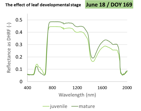 E-TRAINEE: Optical parameters of foliage – leaf level - E-TRAINEE ...