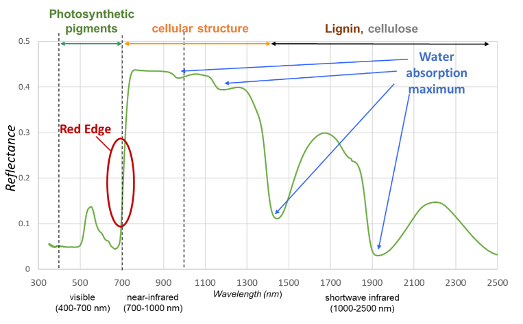 E-TRAINEE: Optical parameters of foliage – leaf level - E-TRAINEE ...
