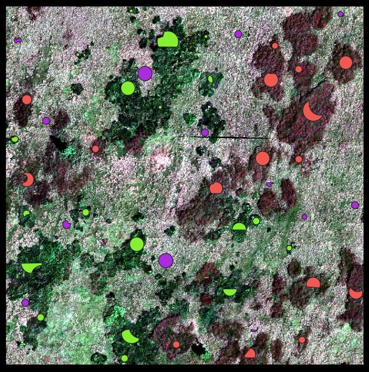 E-TRAINEE: Subpixel classification - report - E-TRAINEE Course at Heidelberg University (2025)